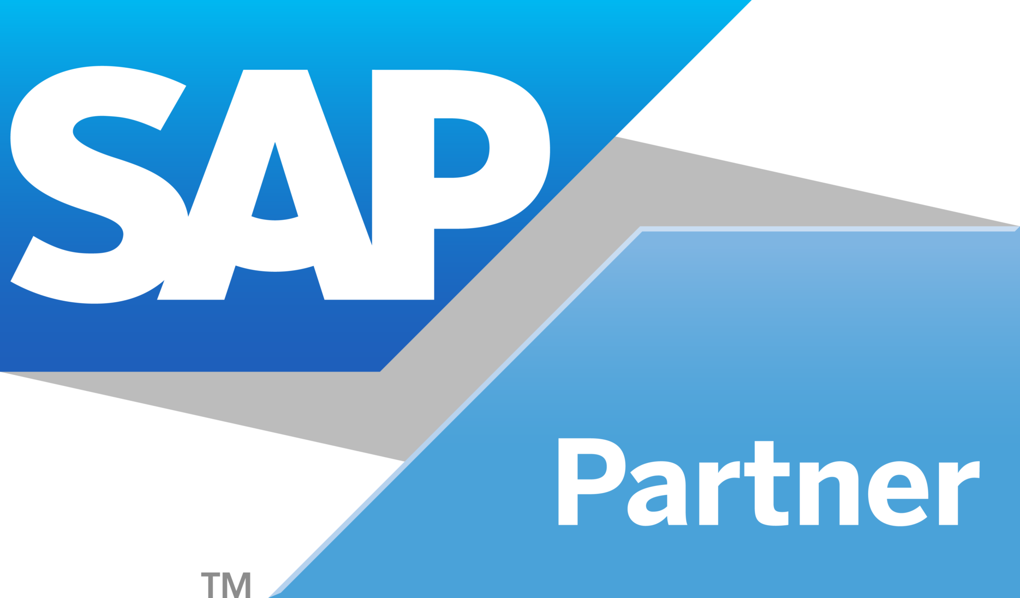 SAP Ariba - Vivo Consulting SAP Ariba - Vivo Consulting